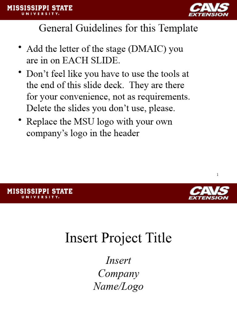 Six Sigma Report Template v2 | PDF | Employment | Business