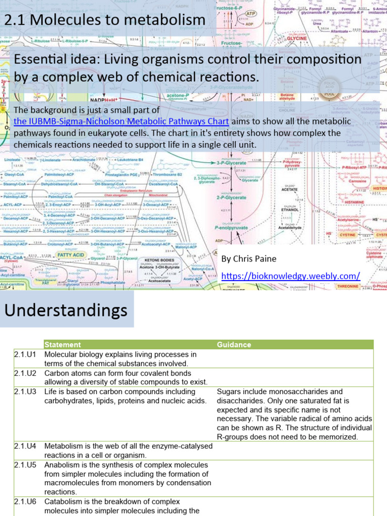 2.1 Molecules To Metabolism | PDF