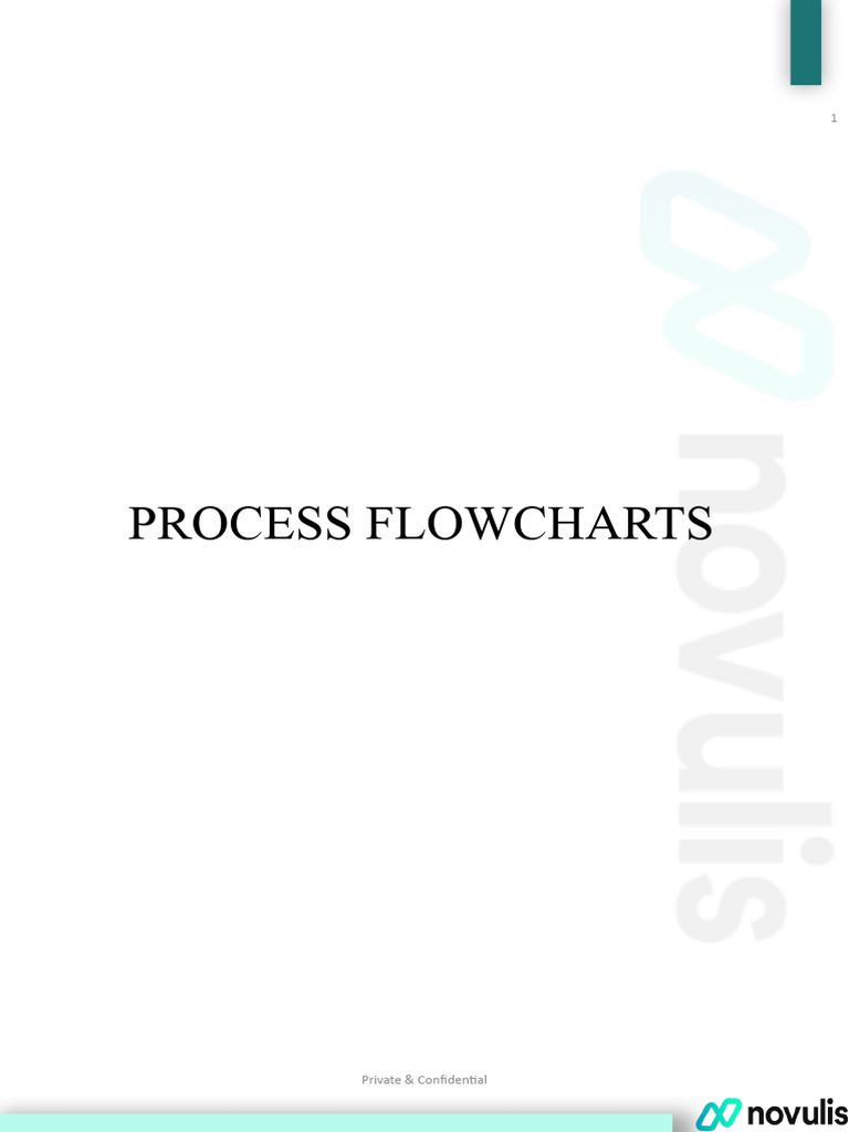 Novulis Process Flow The Strategist& V0.2 31012024 | PDF