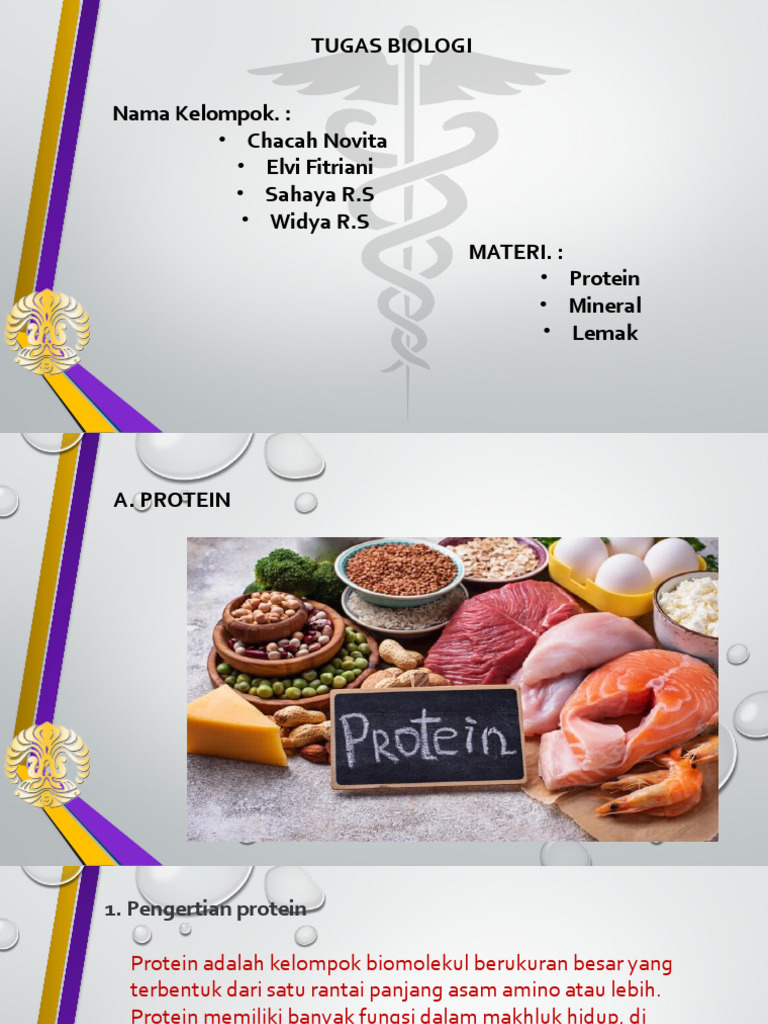 Biologi Protein, Mineral, Dan Lemak | PDF