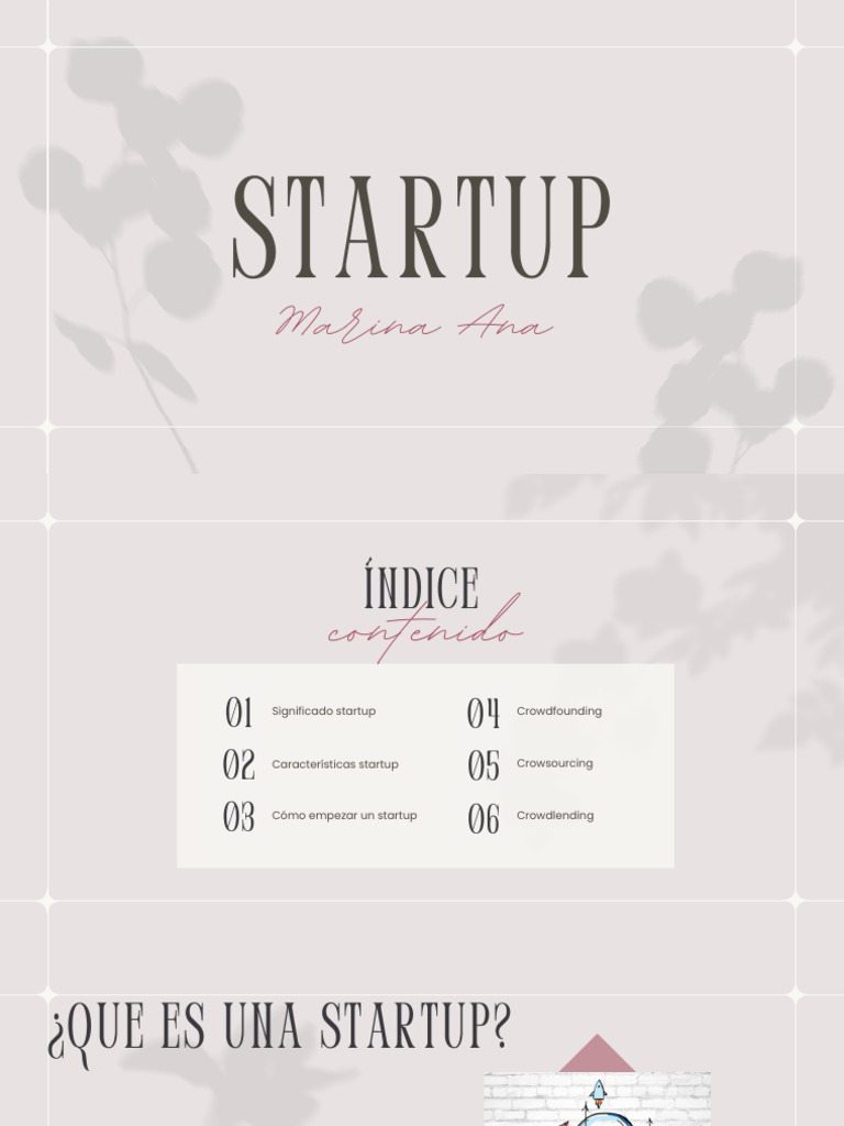 Presentación Startup | PDF