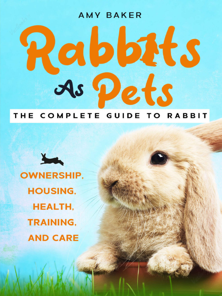Rabbits As Pets, The Complete Guide To Rabbit Ownership, Housing ...
