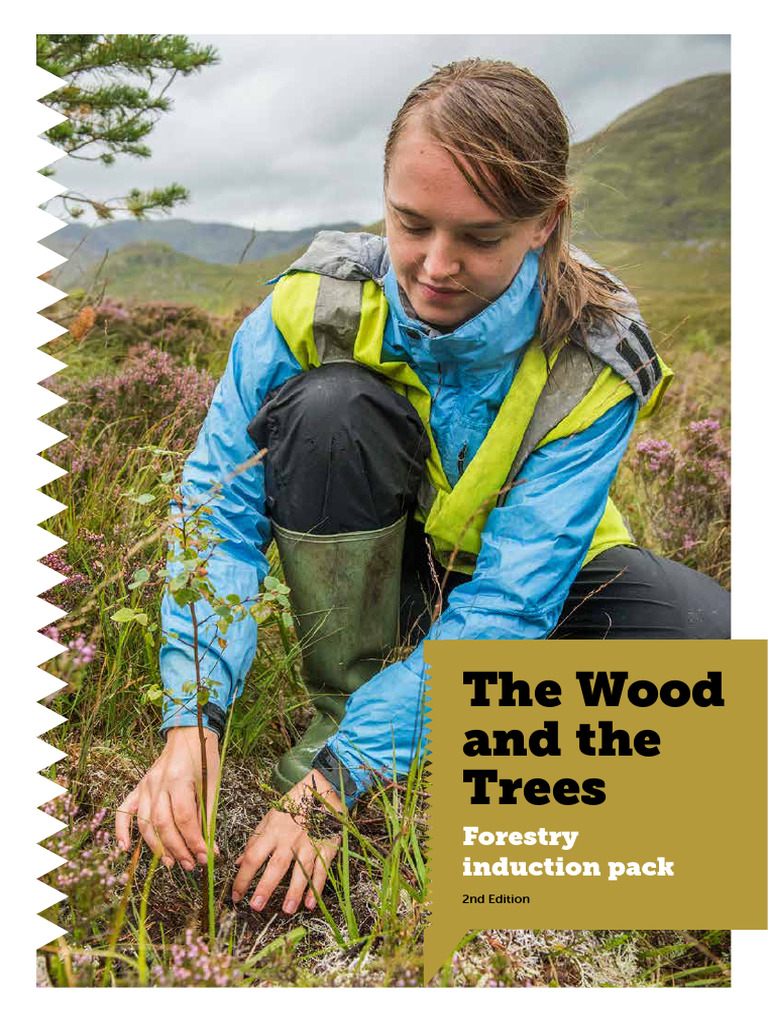 The-Wood-and-the-Trees-Forestry-Induction-Pack-AUGUST-2022-FINAL | PDF