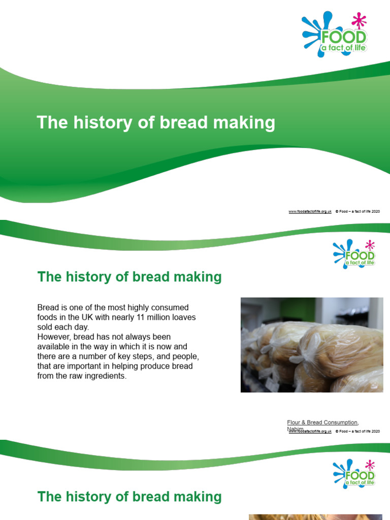 The History of Bread | PDF | Breads | Flour