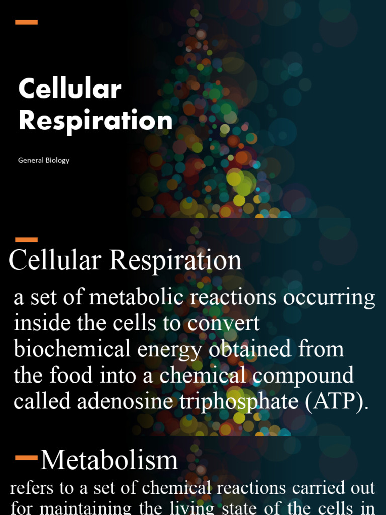 Lesson 14 Cellular Respiration | PDF | Cellular Respiration | Adenosine Triphosphate