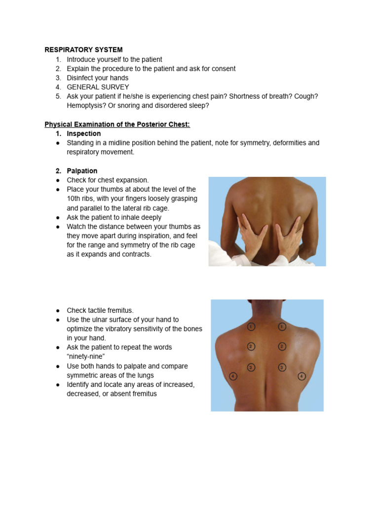 Respiratory System Physical Examination Guide | PDF