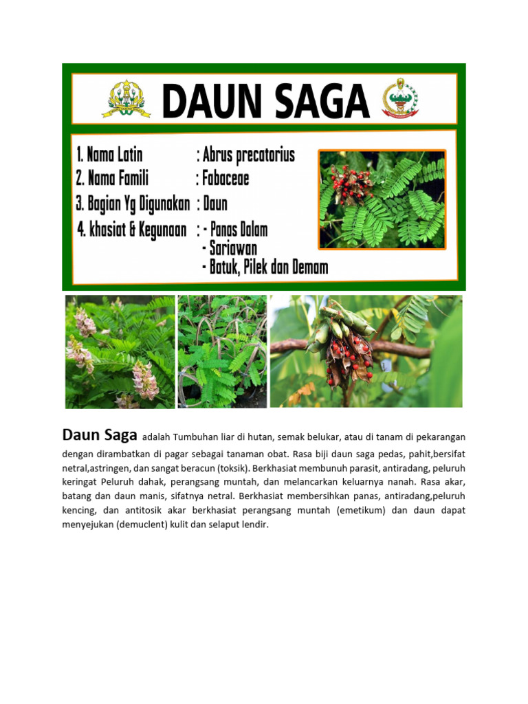 Daun Saga | PDF | Sains & Matematika