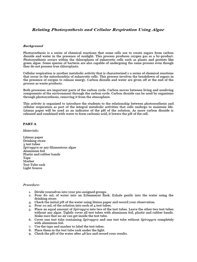 Photosynthesis & Respiration Lab | PDF | Self-Improvement | Wellness