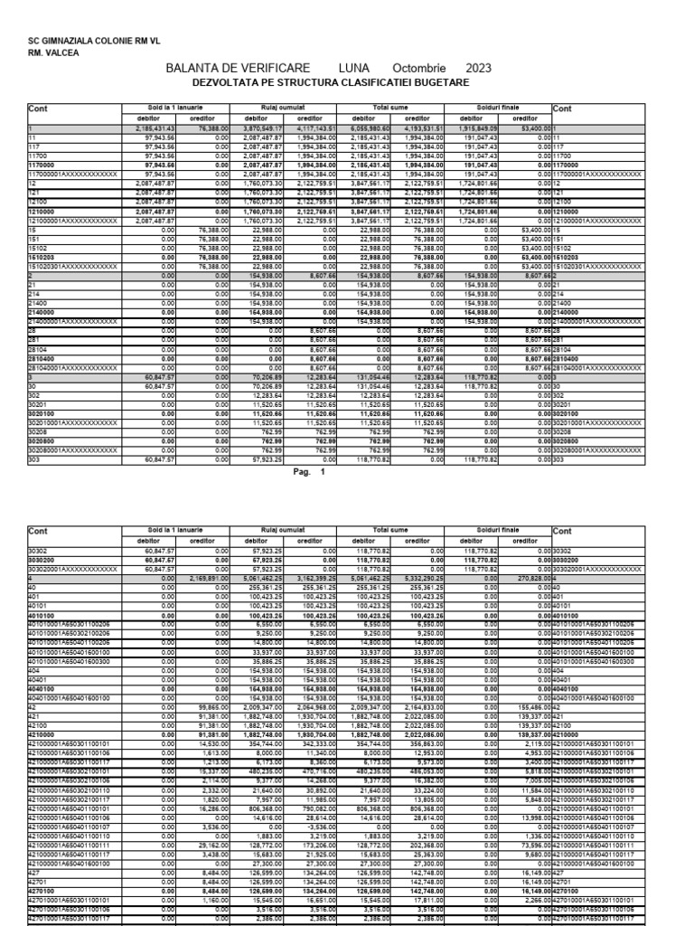 Balanta Pe Structura Bugetara BS | PDF
