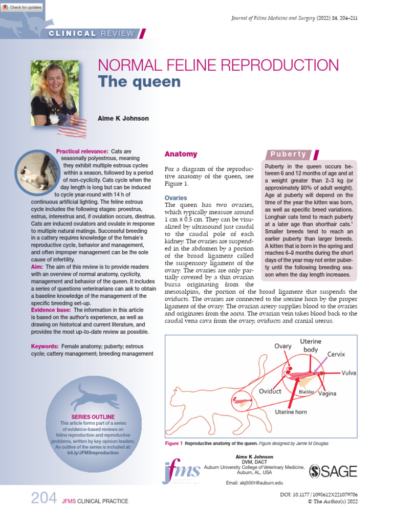 Overview of Feline Reproduction | PDF