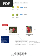 Fly Lab JS - Genetics of Organisms | PDF | Chi Squared Test | Genotype