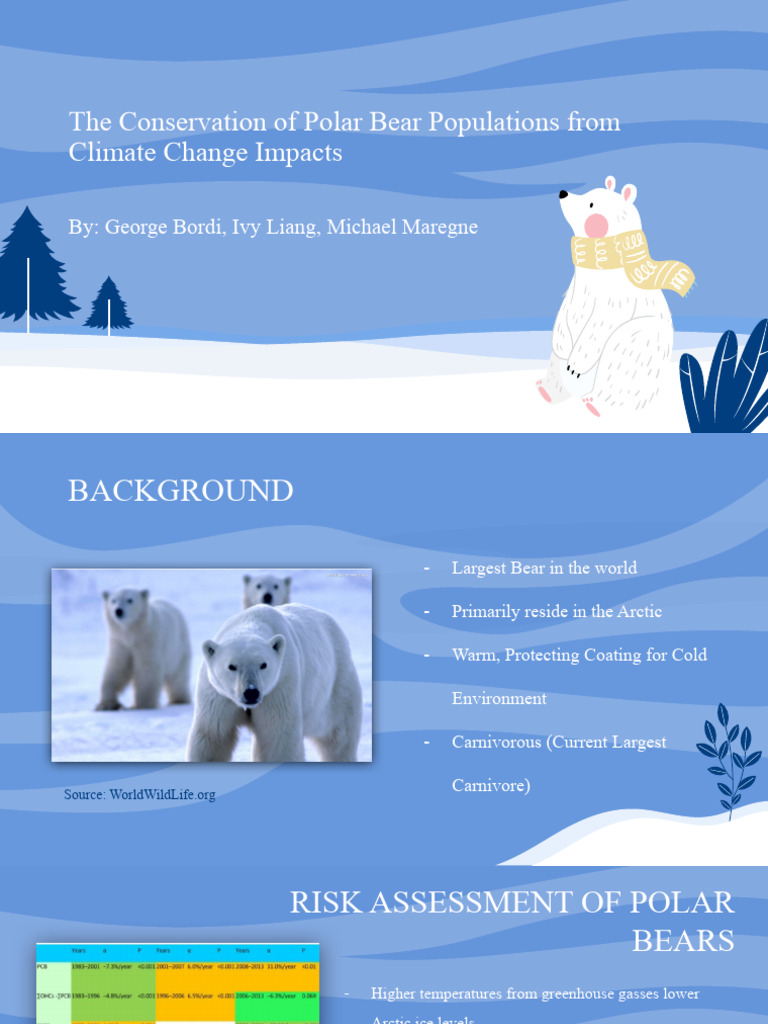 Polar Bear Conservation Strategies | PDF | Polar Bear | Climate Change