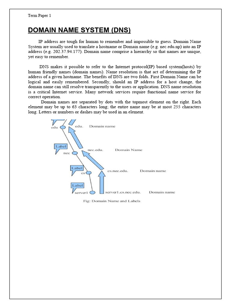 1 DNS | PDF | Domain Name | Domain Name System