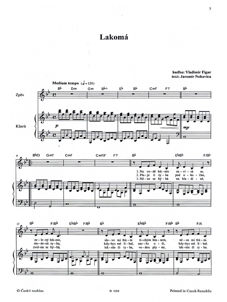 Marie Rottrová - Lakomá | PDF