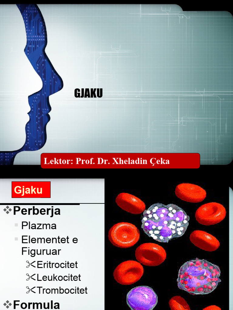 Gjaku | PDF