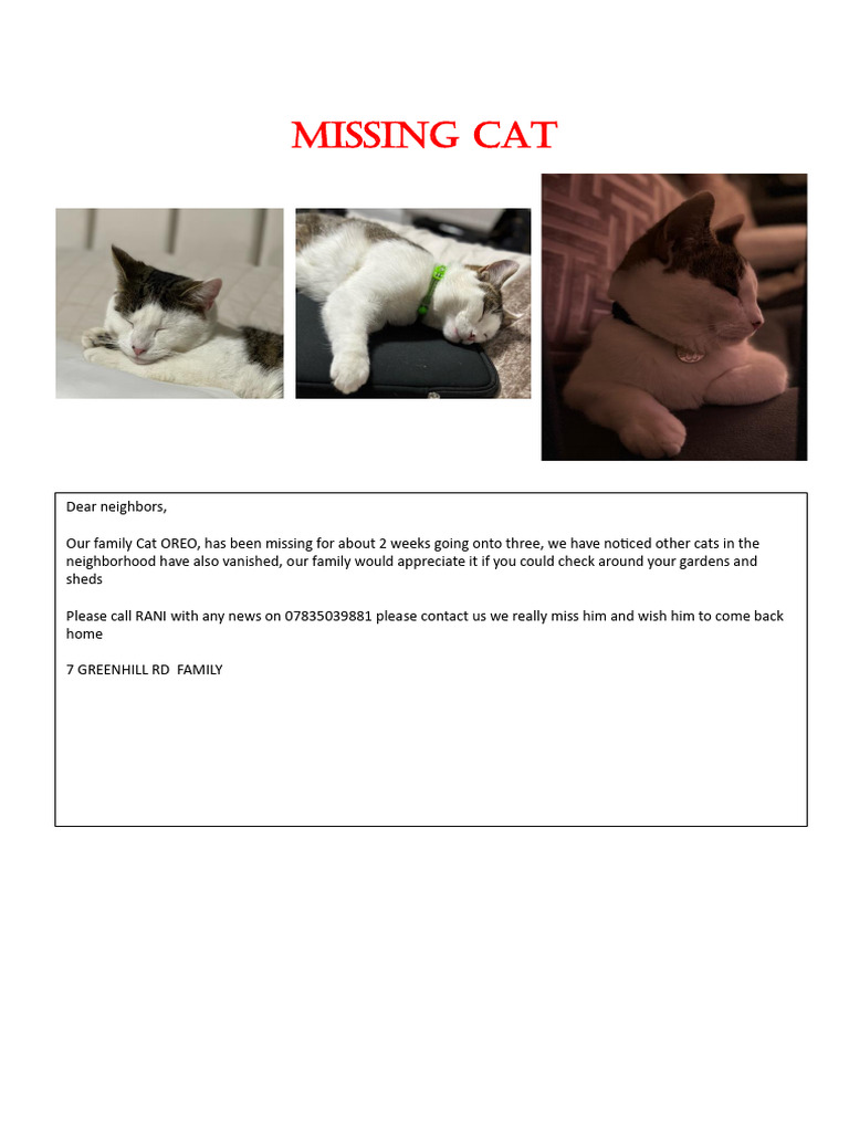 Missing Cat | PDF