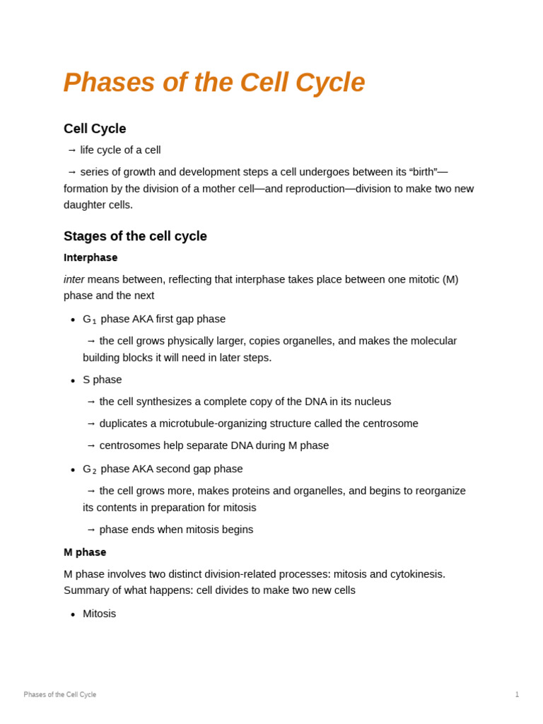 Phases of The Cell Cycle | PDF