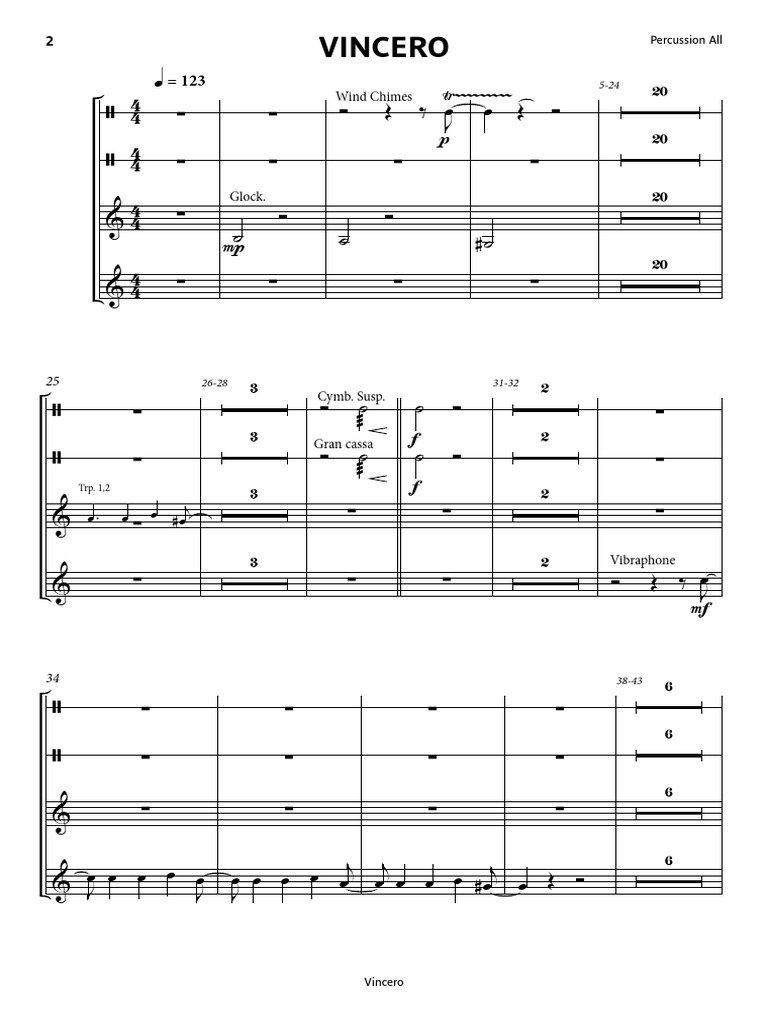 Vincero 14 Percussion | PDF
