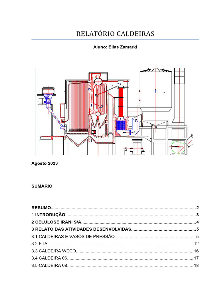 RELATÓRIO | PDF | Caldeira | Calor