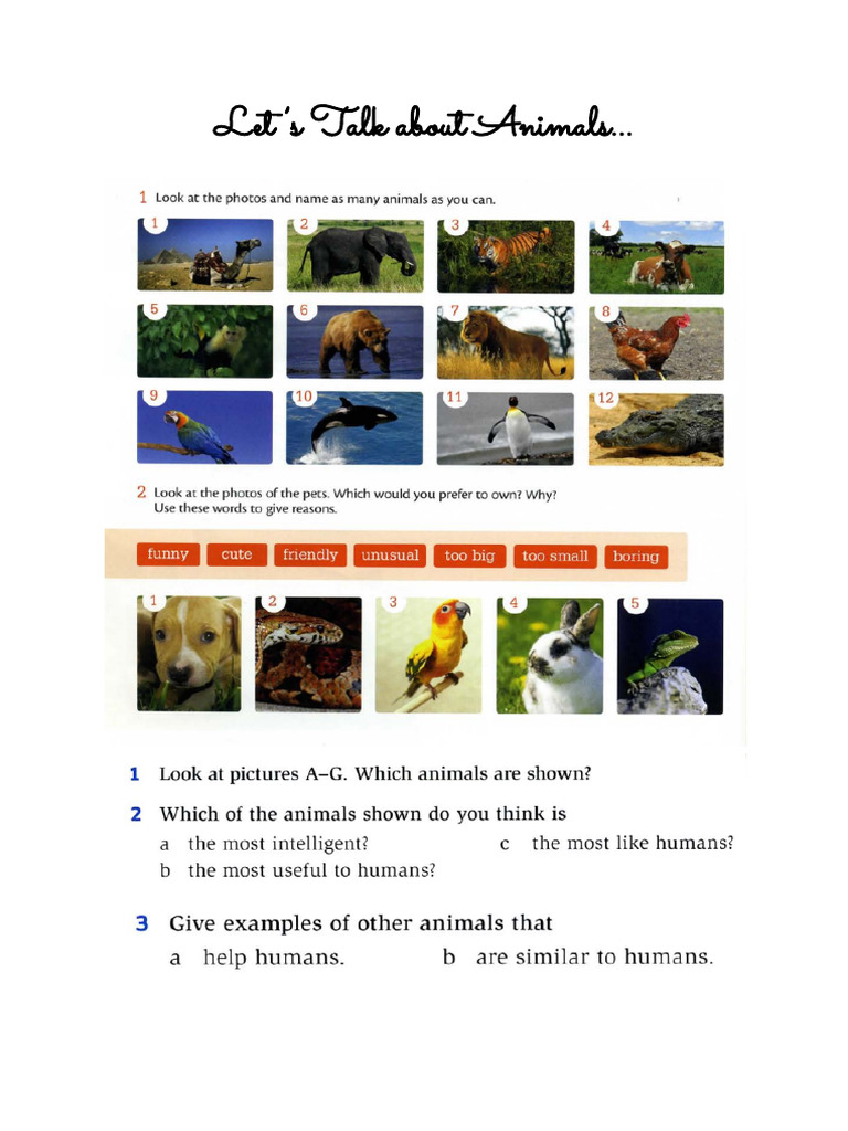Let's Talk About Animals | PDF