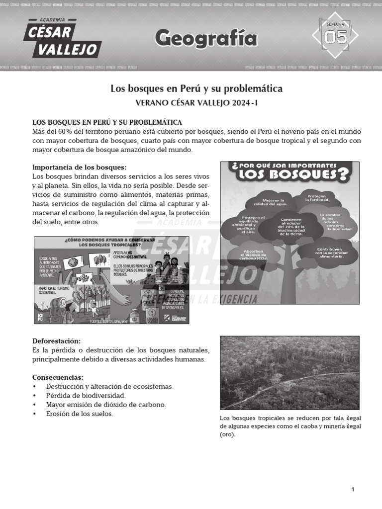 D - VCV - Dir - Sem 05 | PDF