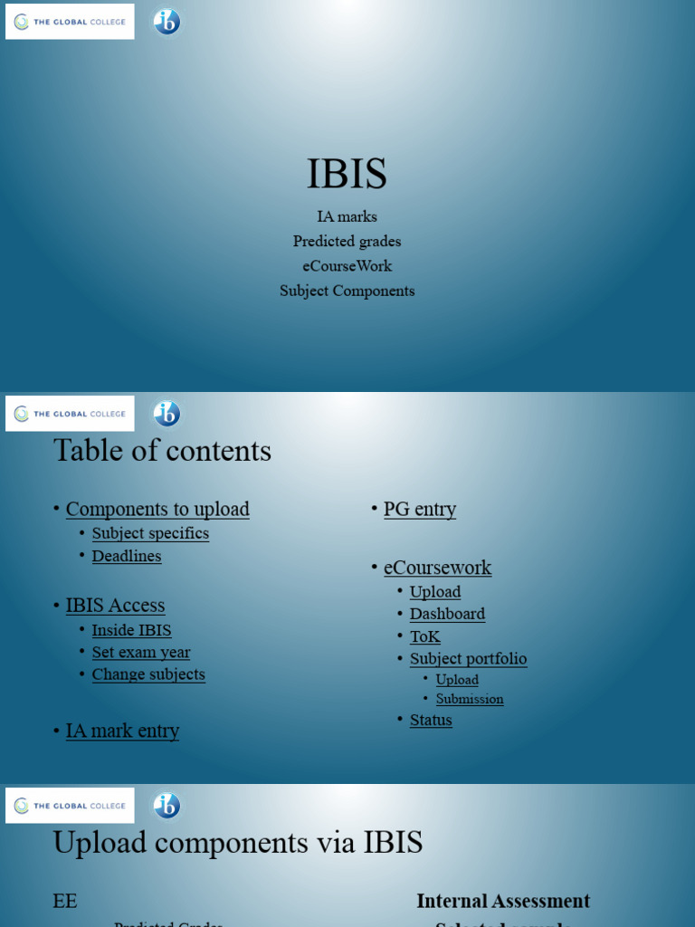 IBIS Instructions | PDF