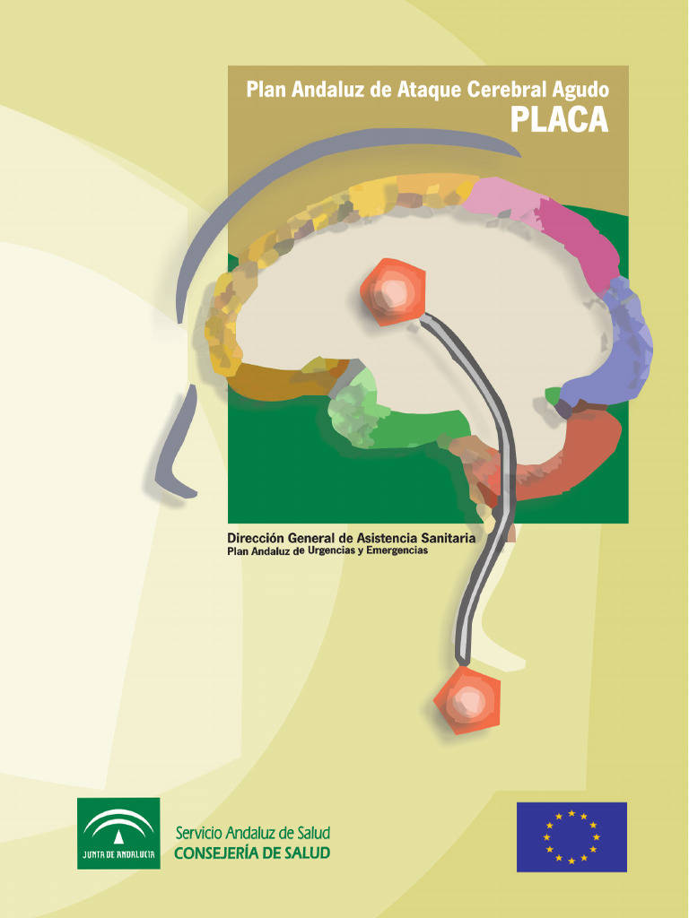 Protocolo Ictus en Andalucía | PDF | Carrera | Hospital