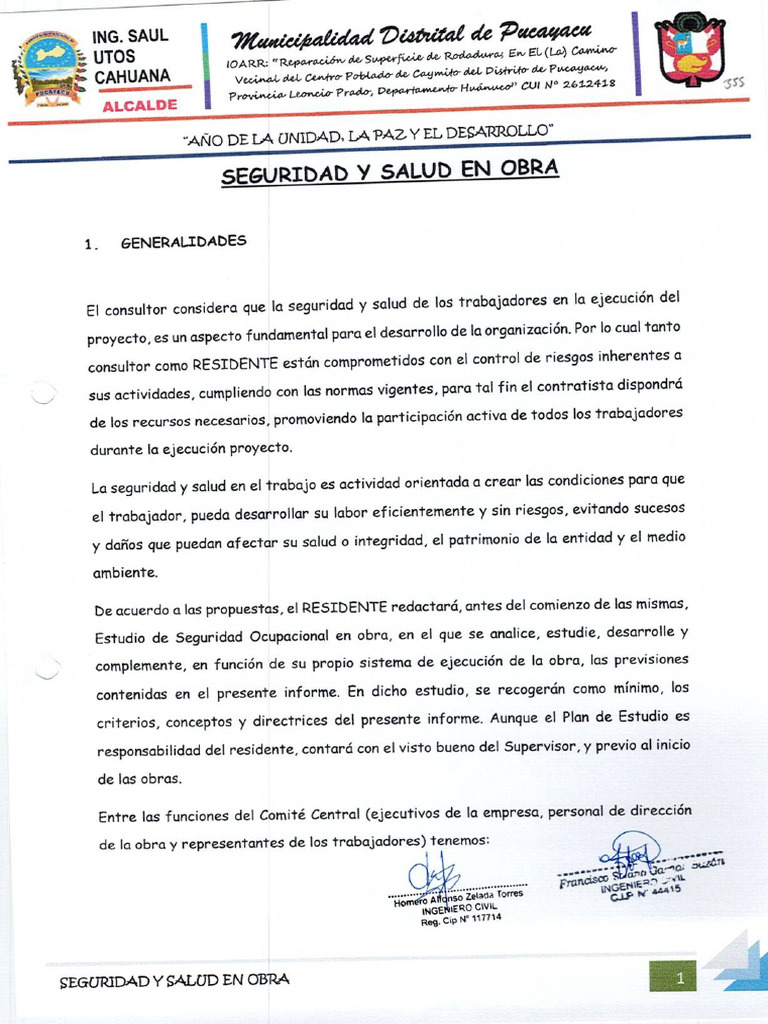 Seguridad y Salud en Obra | PDF