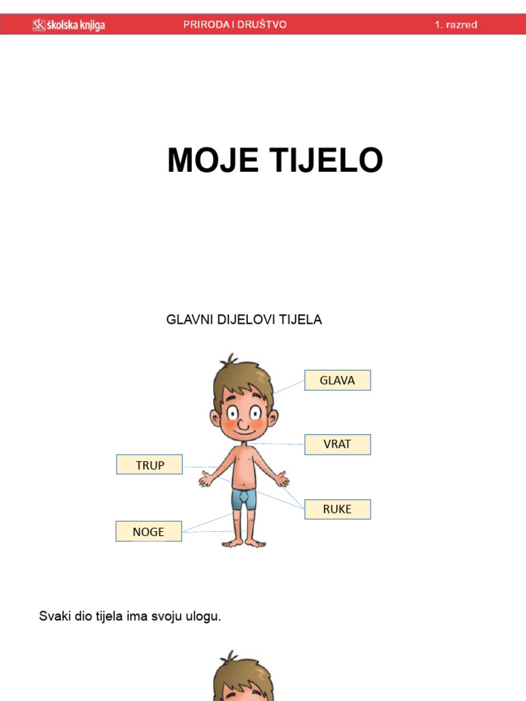 35 Moje Tijelo Pid 1 Razred Istrazujemo Nas Svijet | PDF