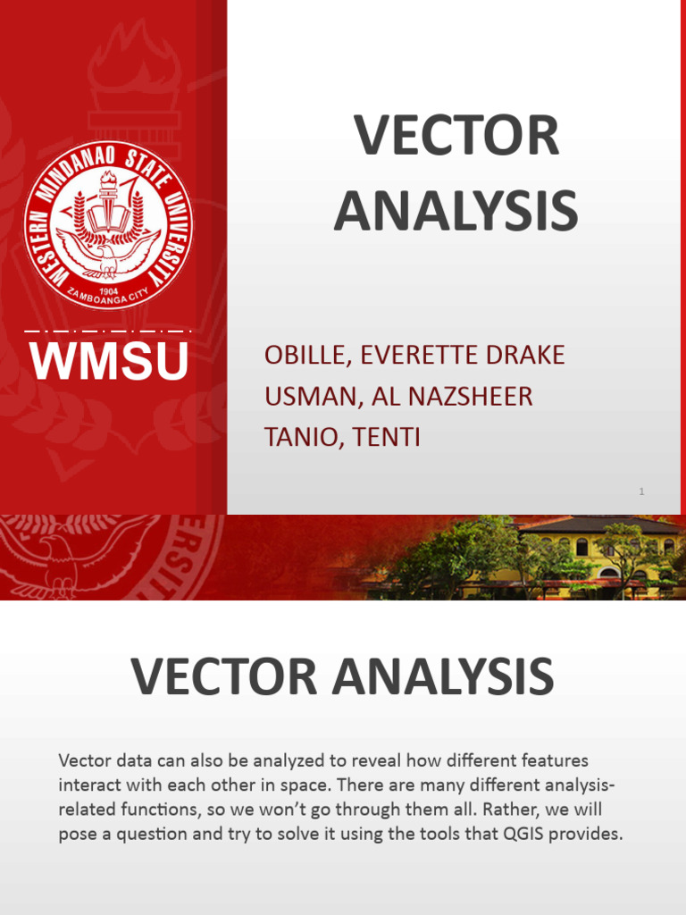 Vector Analysis Report | PDF | Art | Computers