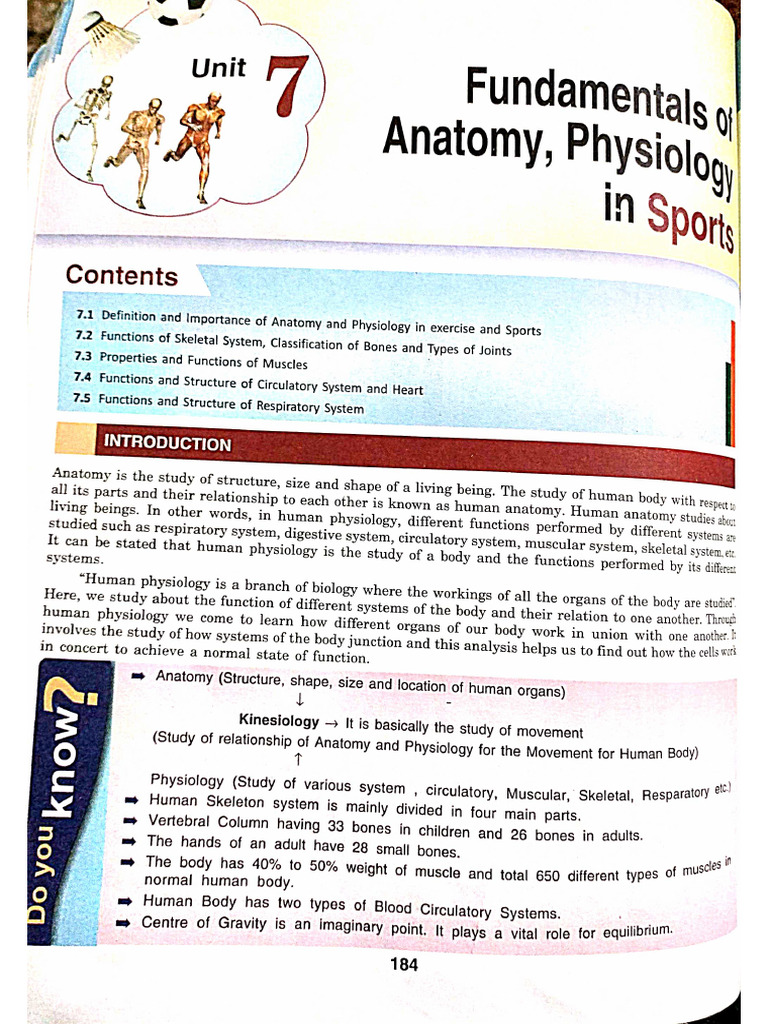 Unit-7 Anatomy Class 11 | PDF