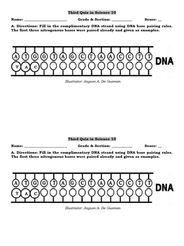 3rd Quiz in Science 10 | PDF
