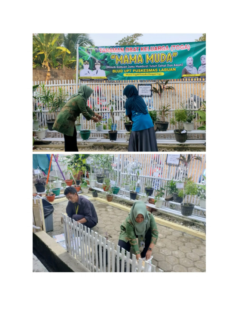 Dokumen Taman Toga Puskesmas | PDF