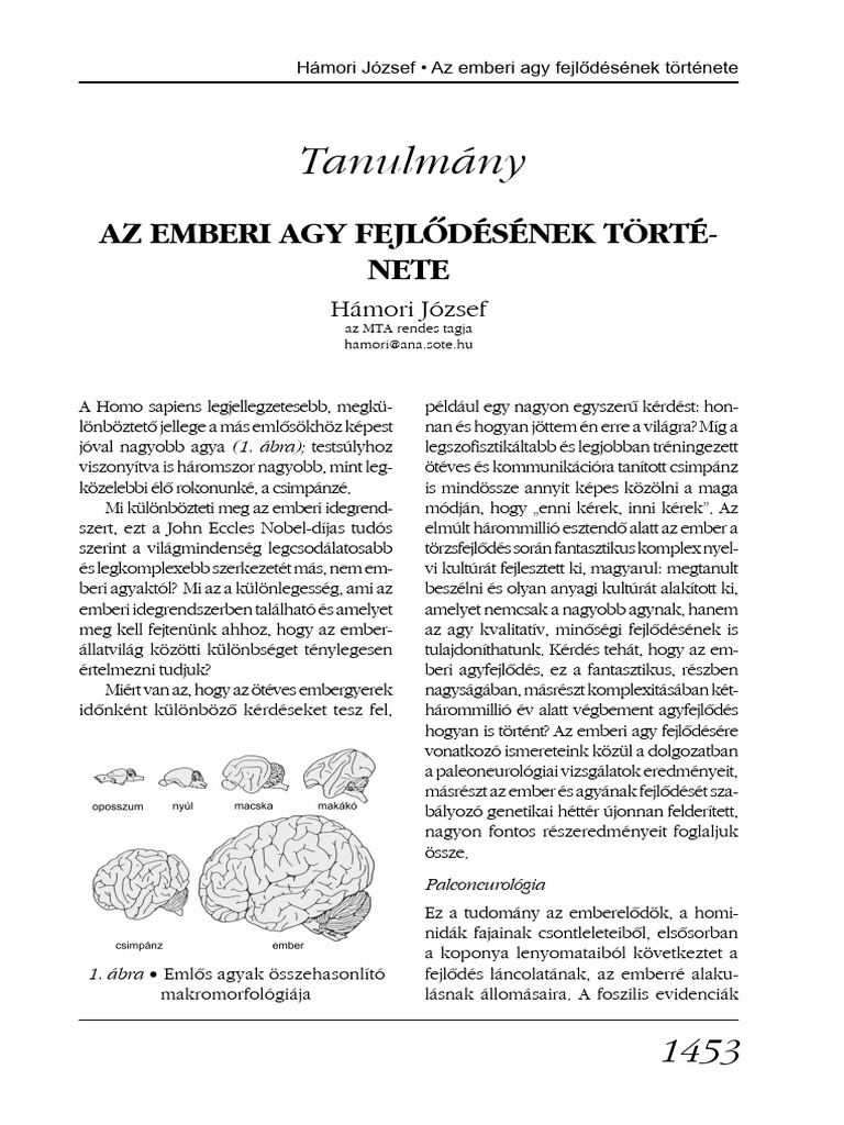 Hámori József - Az Emberi Agy Fejlődésének Története | PDF