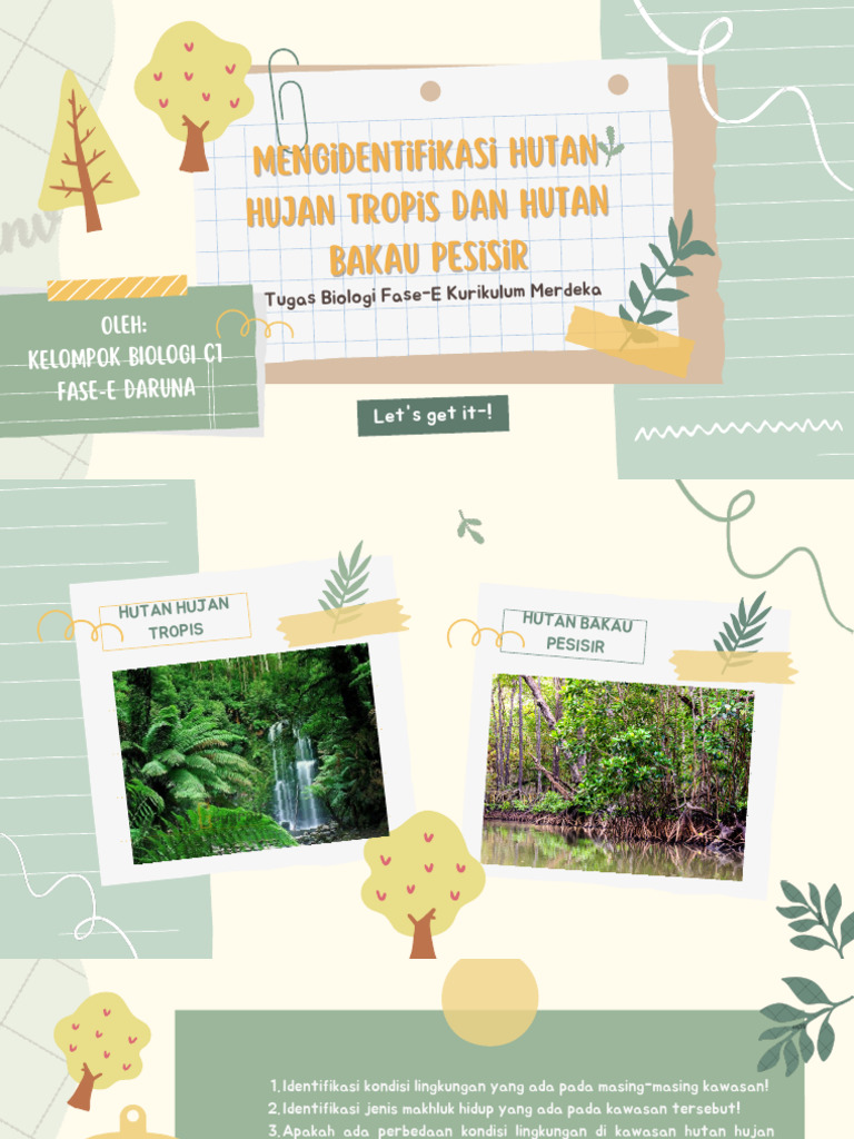 Keanekaragaman Hutan Tropis dan Bakau | PDF