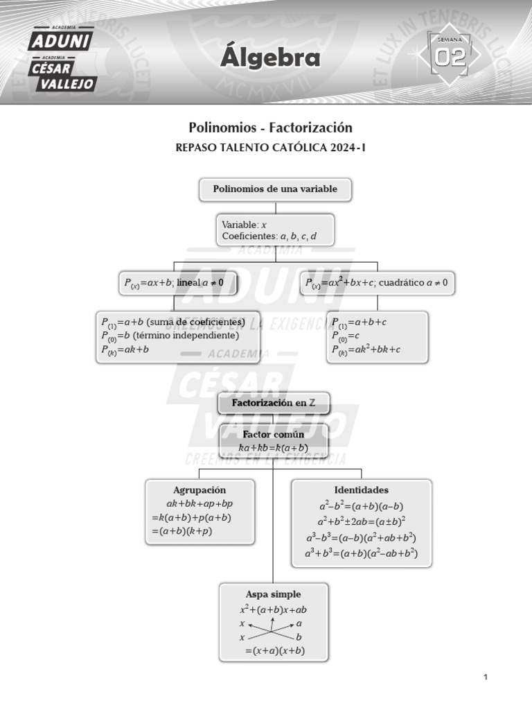 X - Rep - TC - Dir - Sem 02 | PDF | Factorización | Álgebra abstracta