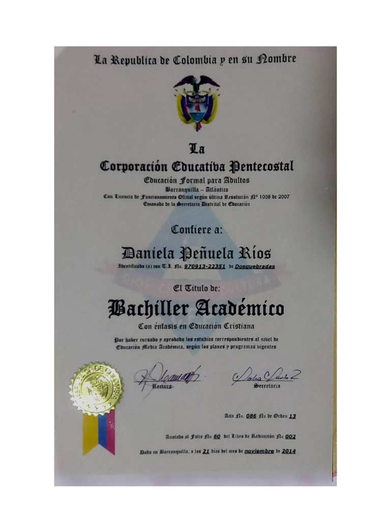 Diploma 1 | PDF