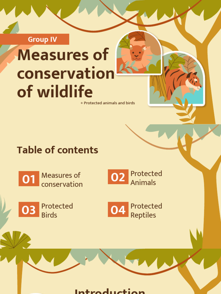 Measures of Conservation of Wildlife - Protected Animals and Birds ...