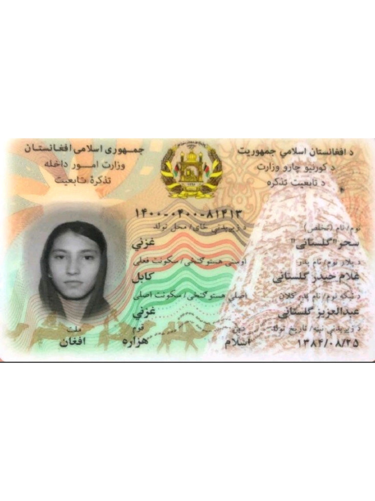 New Document | PDF