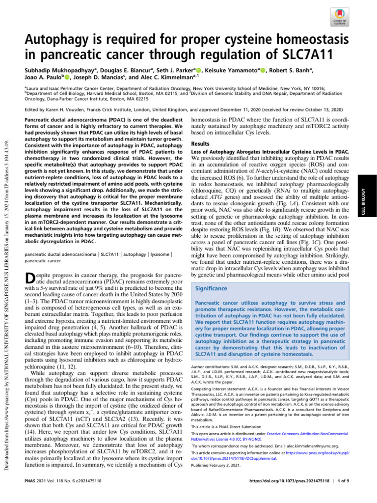 Autophagy's Role in Pancreatic Cancer | PDF | Autophagy | Pancreatic Cancer