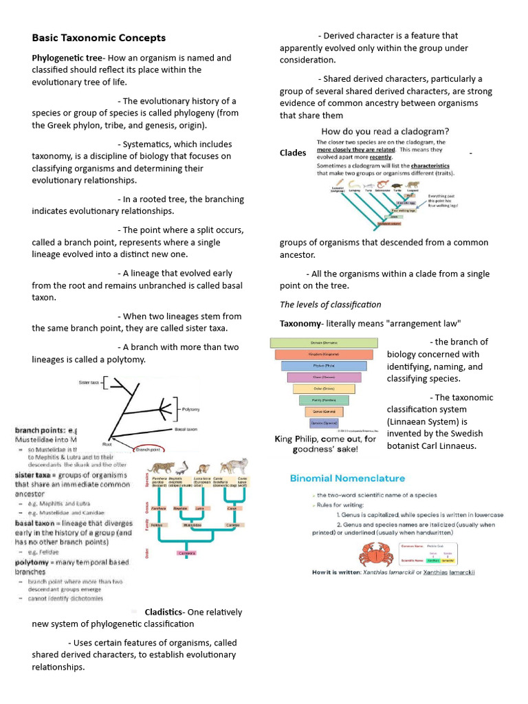 Basic Taxonomic Concepts | PDF | Taxonomy (Biology) | Biological Classification