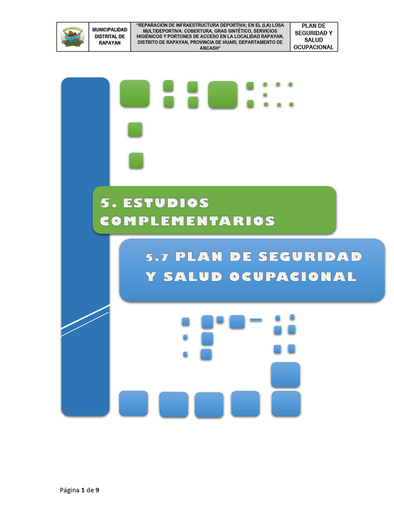 Plan de Seguridad y Salud Ocupacional | PDF | Seguridad y salud ocupacional | La seguridad