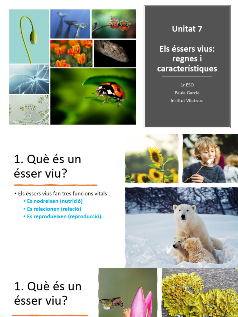 UD7 Essers Vius Regnes. | PDF