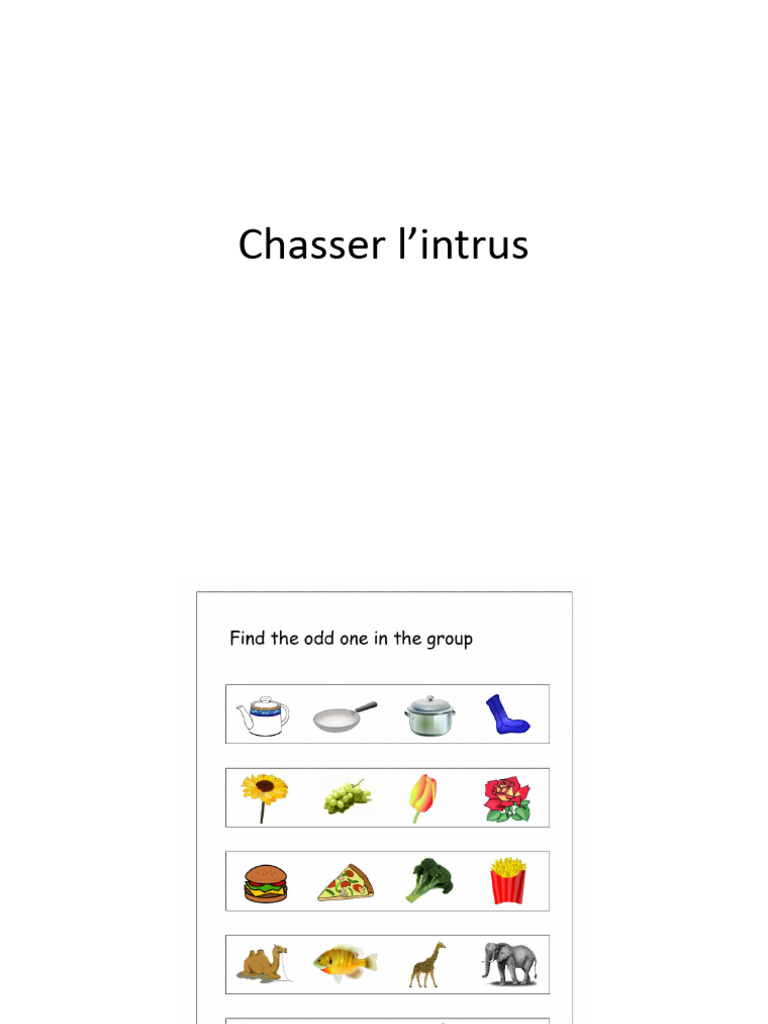 Chasser L'intrus | PDF