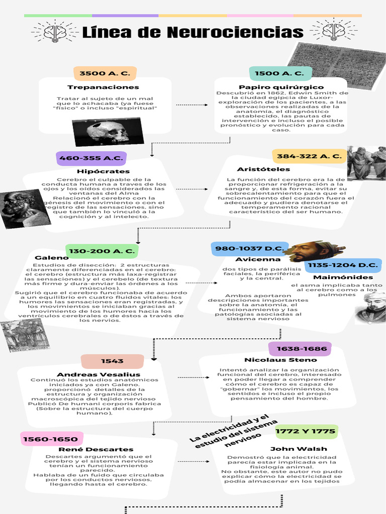 Linea del Tiempo_Neurociencias_ | PDF | Sinapsis | Neurona