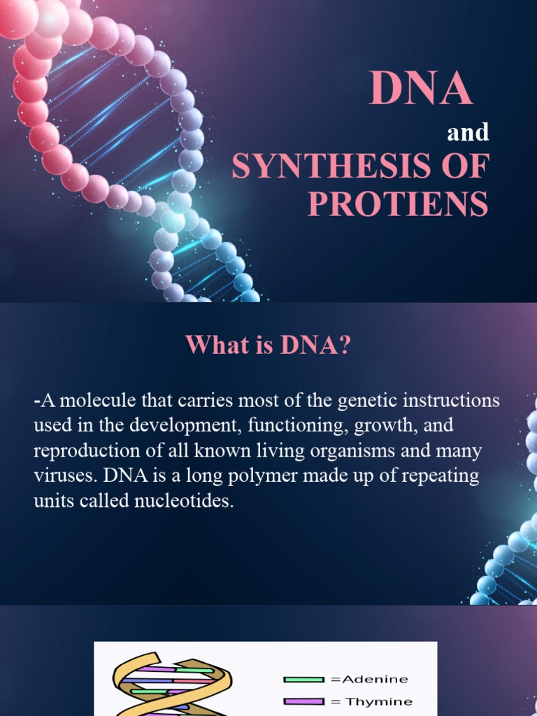 Synthesis of Protiens | PDF