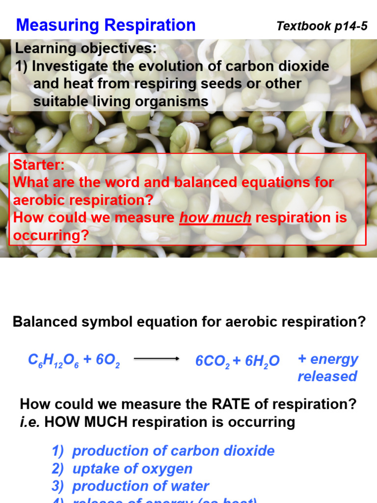 1A10 Practical - Respiration in Living Organisms | PDF | Cellular ...