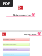 Cuadro Sinoptico Del Sistema Nervioso | PDF