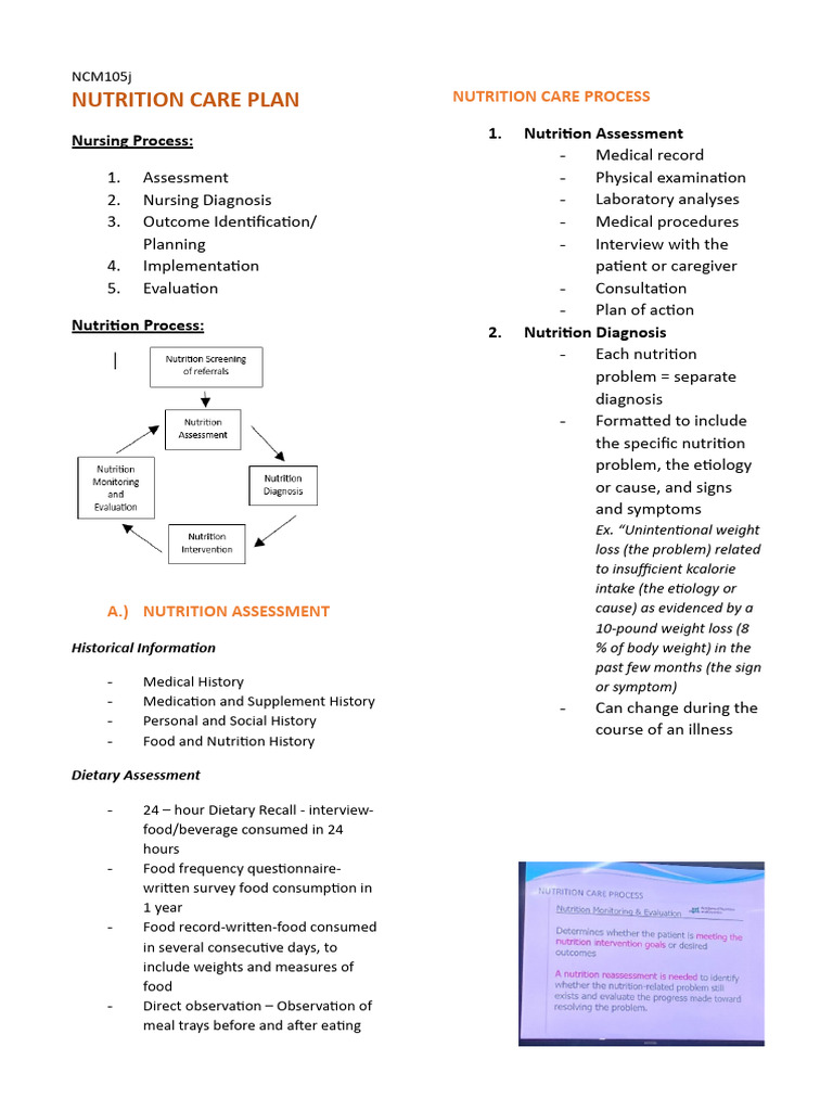 Comprehensive Nutrition Care Plan | PDF | Malnutrition | Body Mass Index