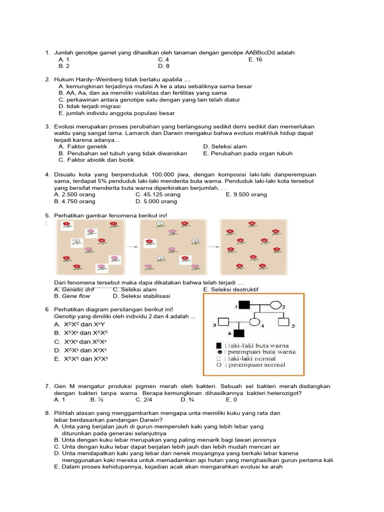 Soal POALC Biologi-Genevol | PDF